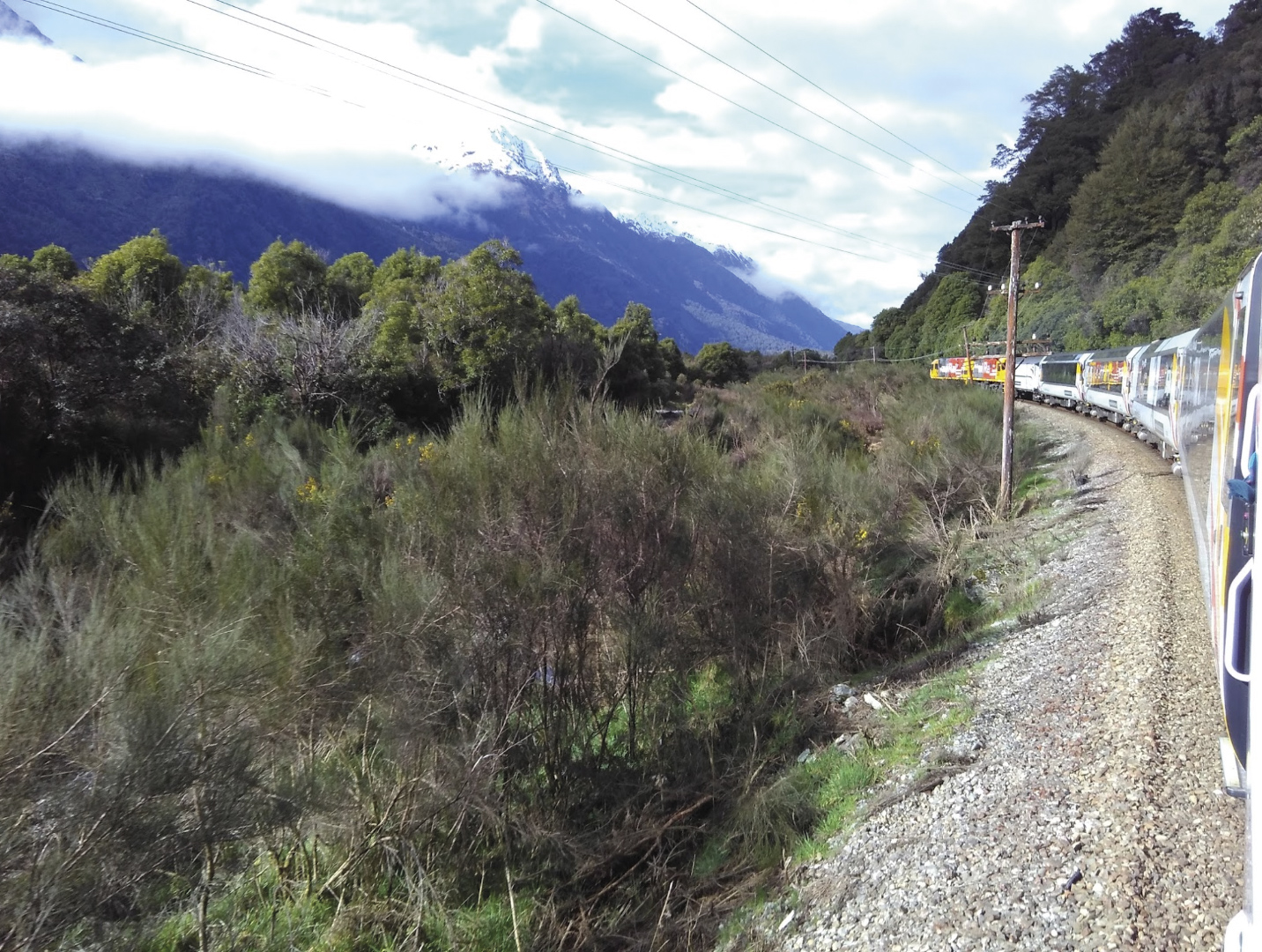 David Vicent, nuestro mejor guía en Auckland (Nueva Zelanda) - Shangay